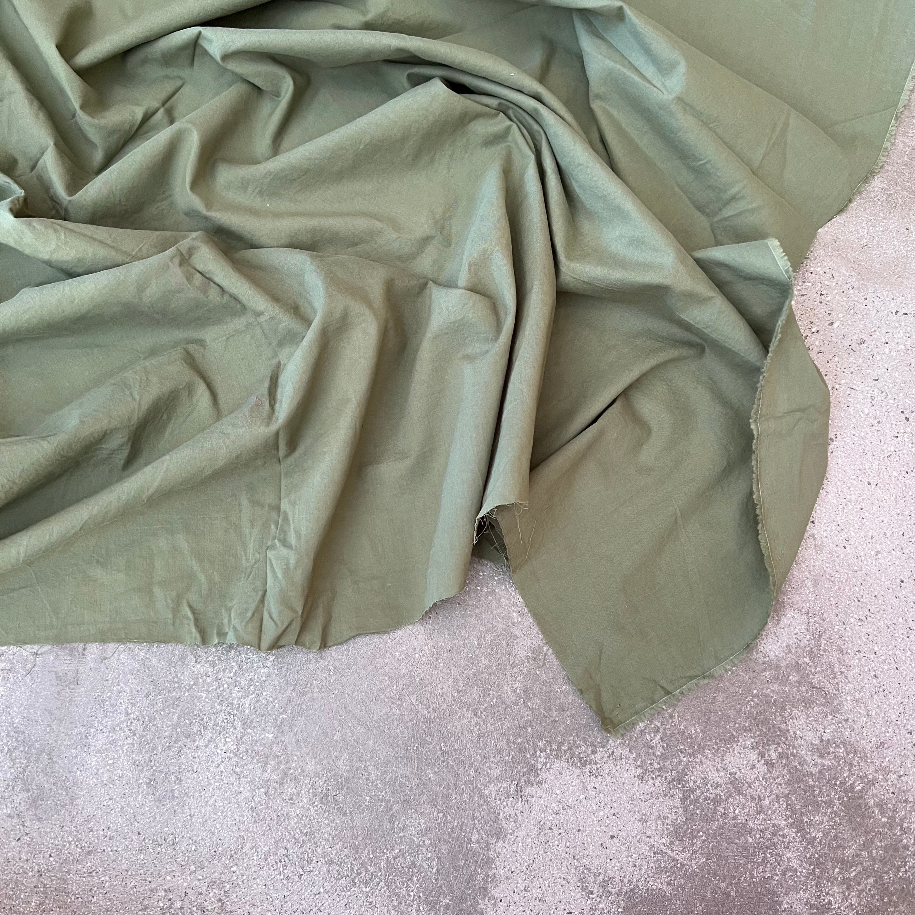 Sample Cleo Pine – Potter & Co Australia